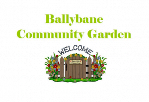 Ballybane / Mervue - Galway City Partnership